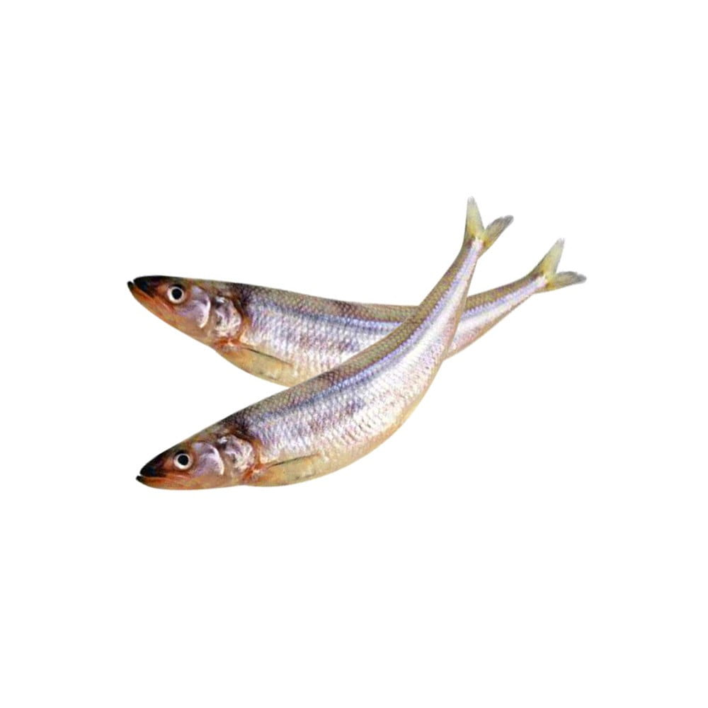 Pescados de Río – Venta online de Pescados y Mariscos Berardi S.A.