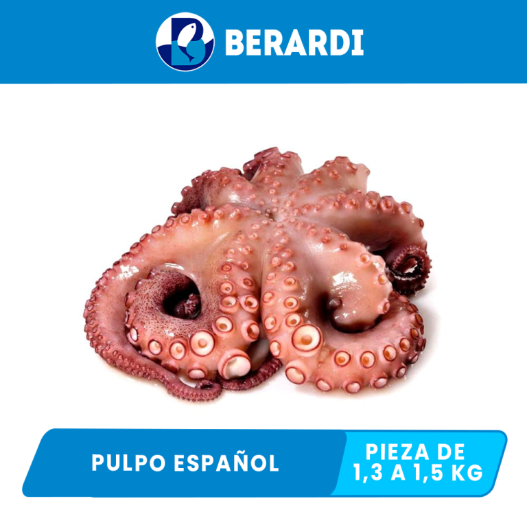 Pulpo Español Berardi Pieza de 1 kg a 1.500 kg – Venta online de ...